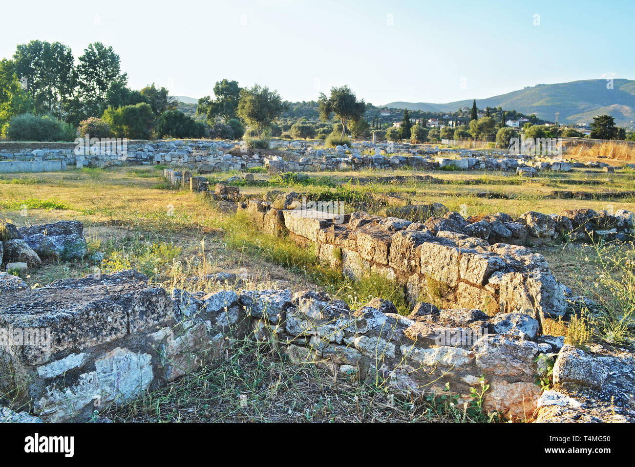 landscape of the ancient city of Eretria Euboea Greece - greek ancient ...