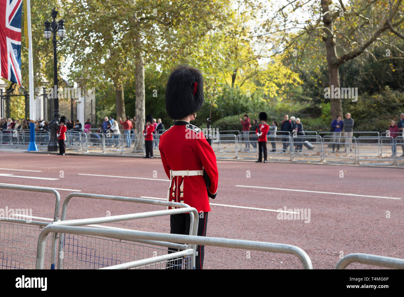 the guards of the Buckingham Palace during the traditional Changing of ...