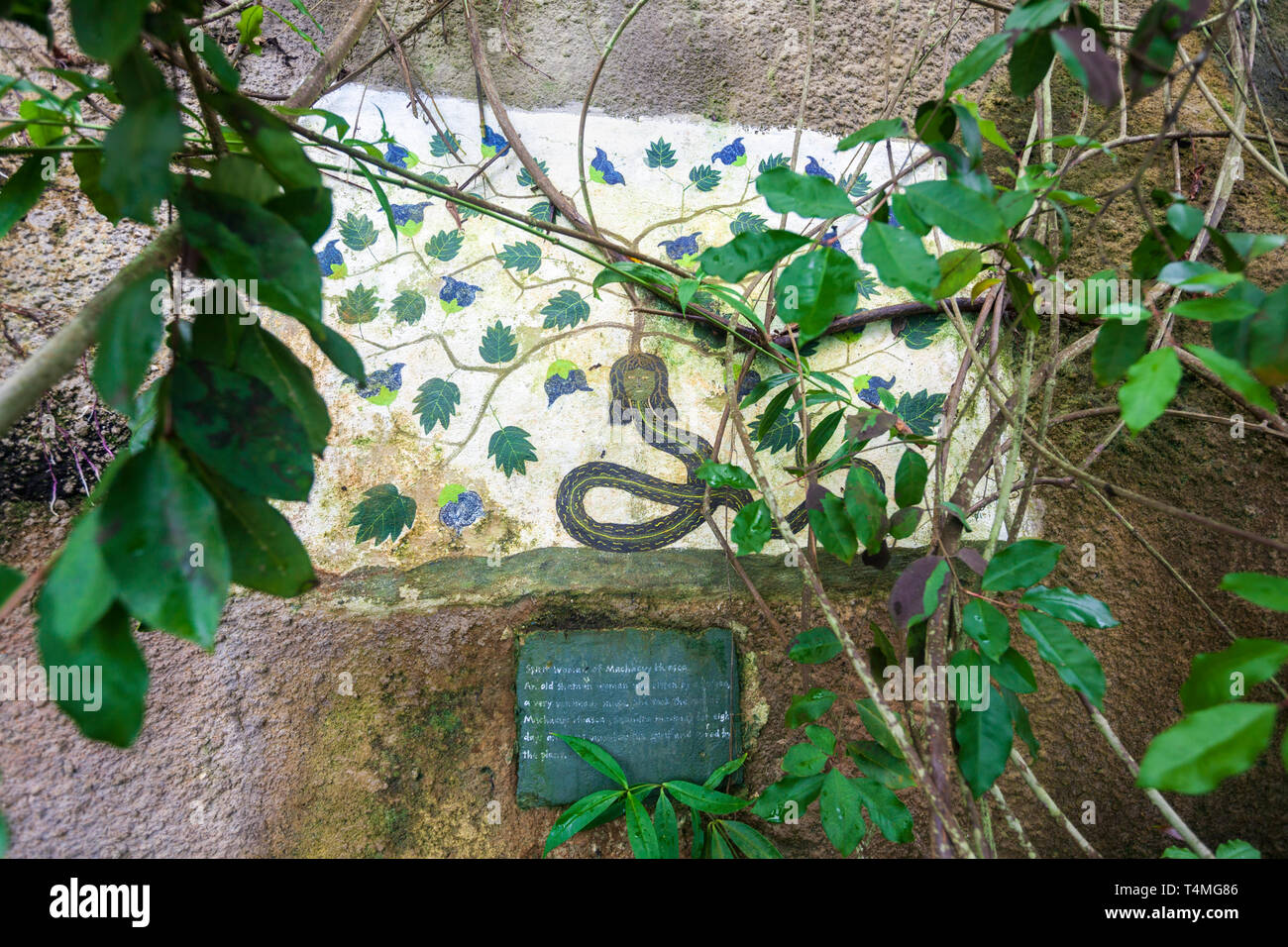 Eden project art rainforest hi-res stock photography and images - Alamy