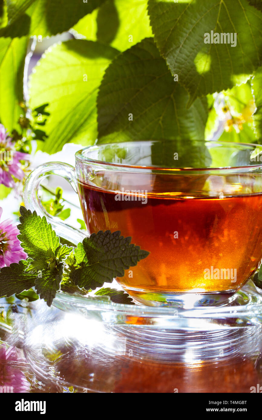 Herbal tea with mint Stock Photo - Alamy