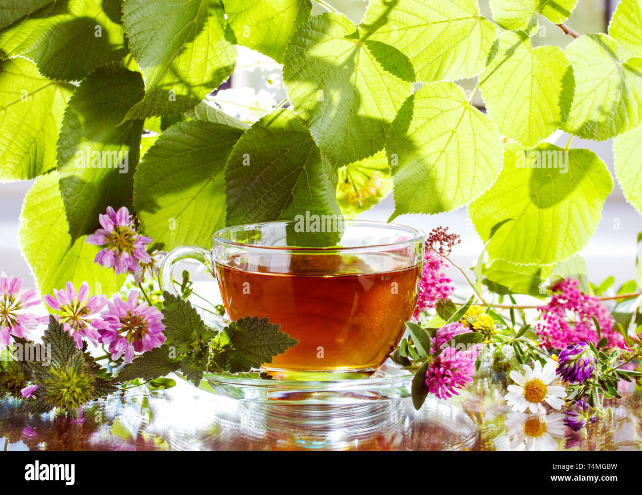 Herbal tea with fresh herbs Stock Photo - Alamy
