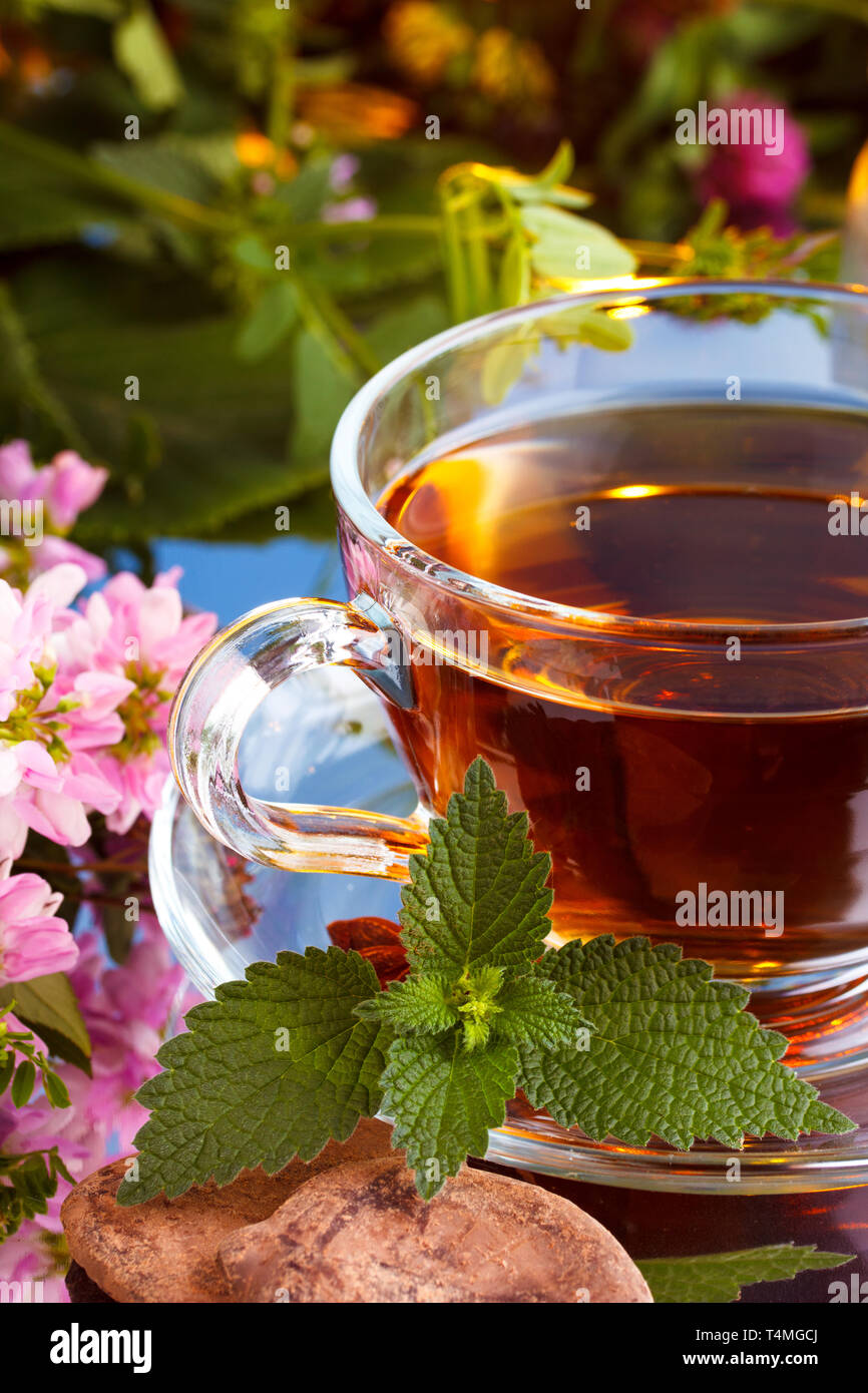 Herbal tea with mint and cocoa Stock Photo - Alamy