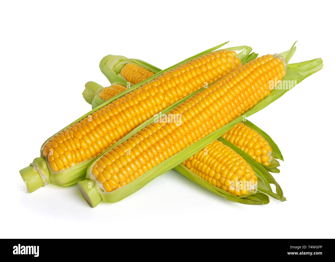 Corn ear isolated on white Stock Photo - Alamy