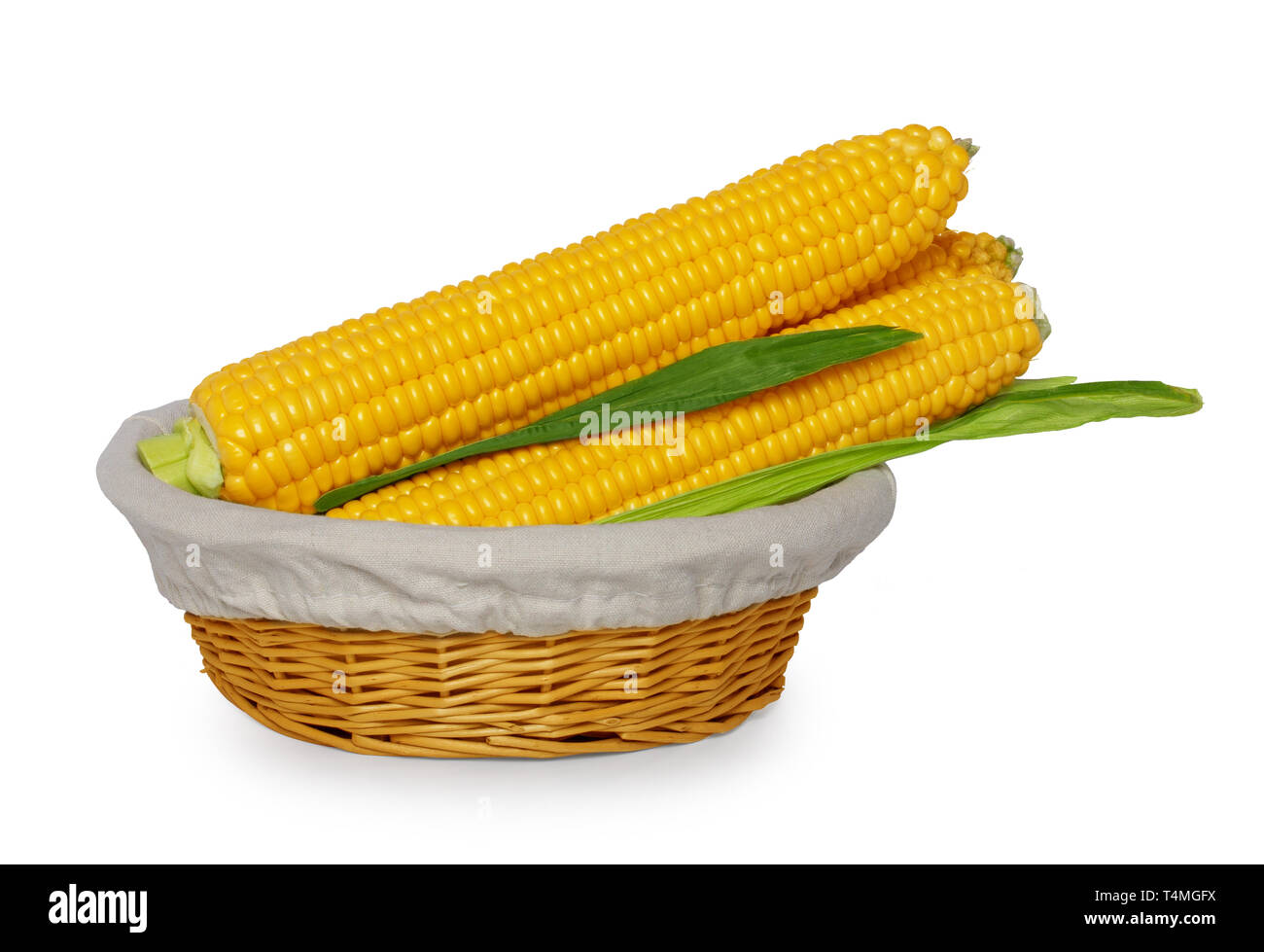 Fresh corn cobs husk Cut Out Stock Images & Pictures - Alamy