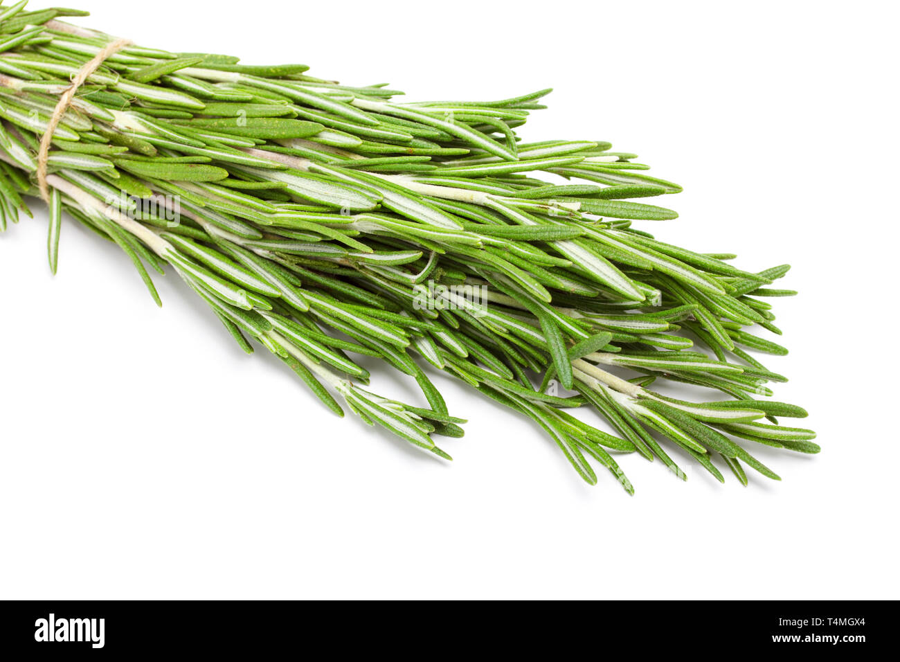 rosemary bunch isolated Stock Photo - Alamy