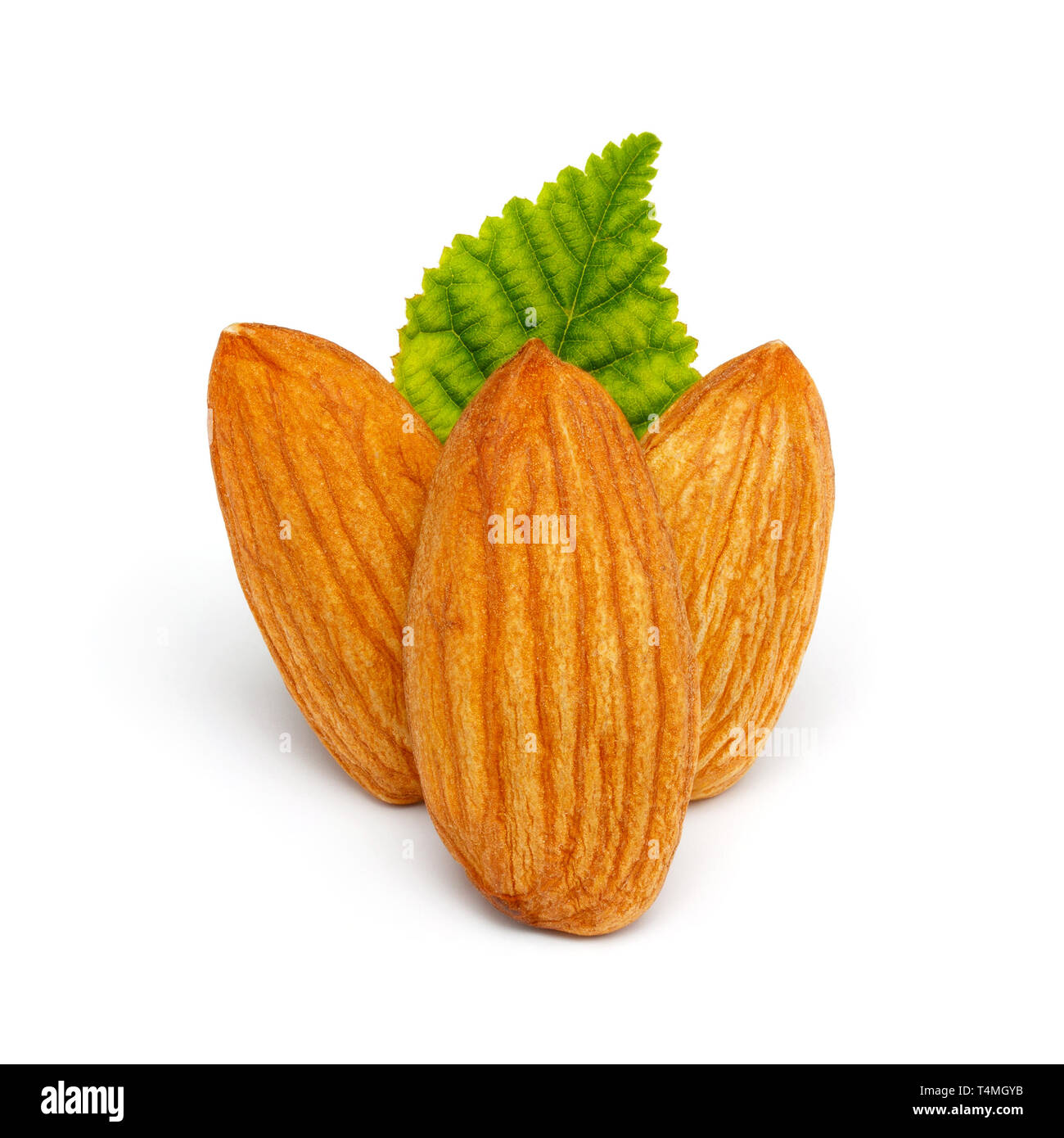 Almonds with leaf isolated on white background Stock Photo - Alamy