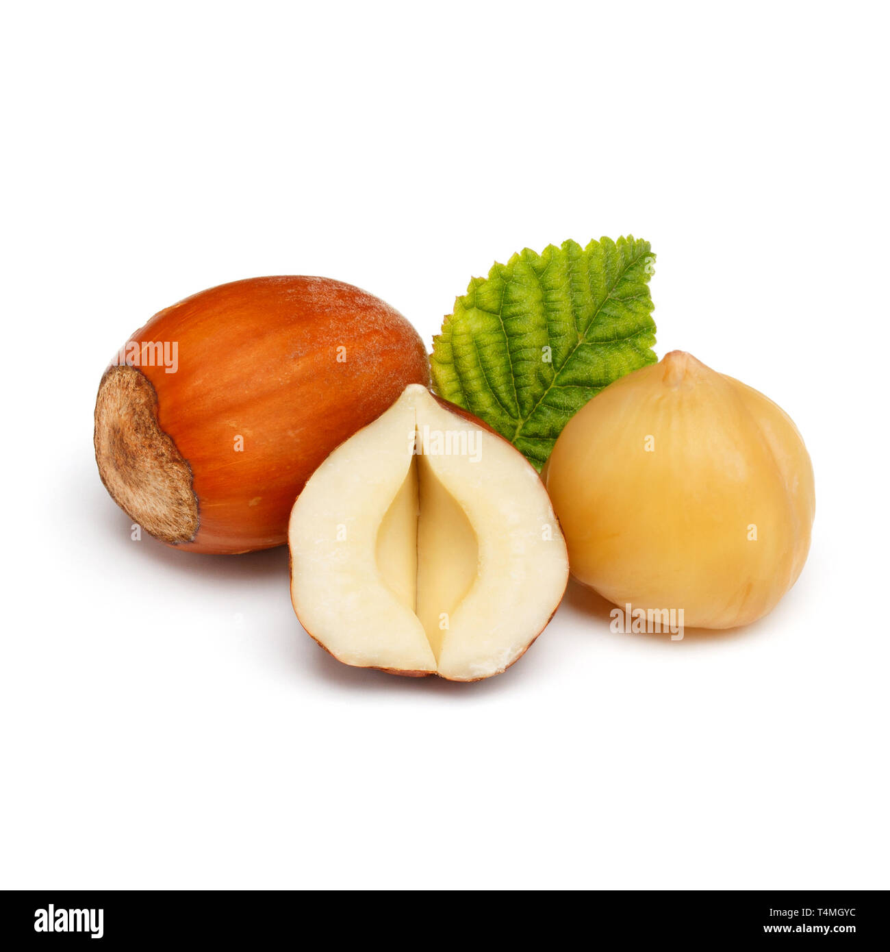 Filberts with green leaf isolated on white background Stock Photo - Alamy