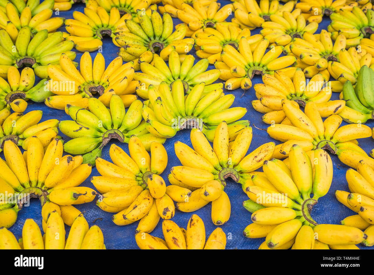 Fruits in Cayenne market, Guyana, Cayenne, France Stock Photo - Alamy
