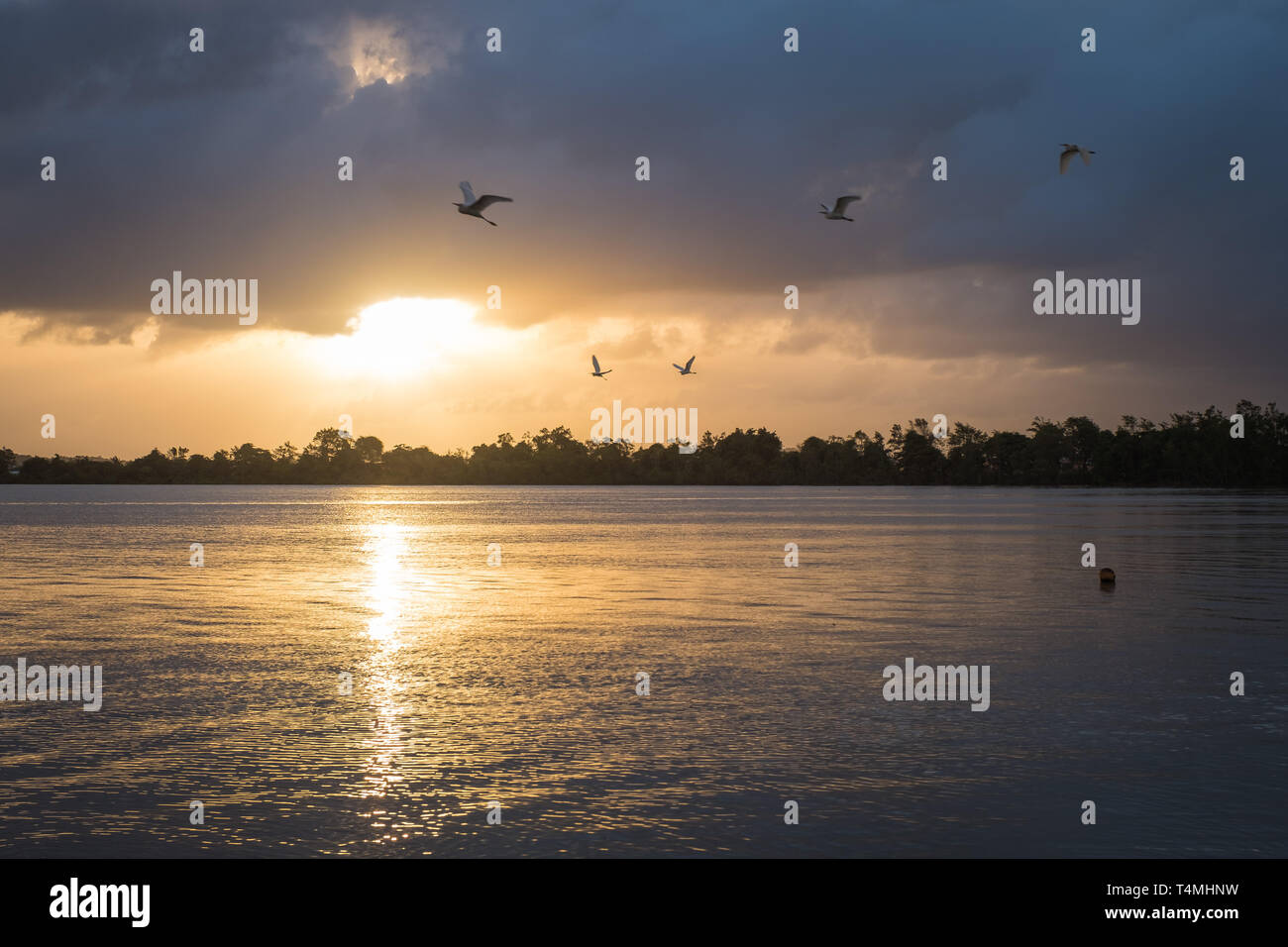 Guyana beach hi-res stock photography and images - Alamy