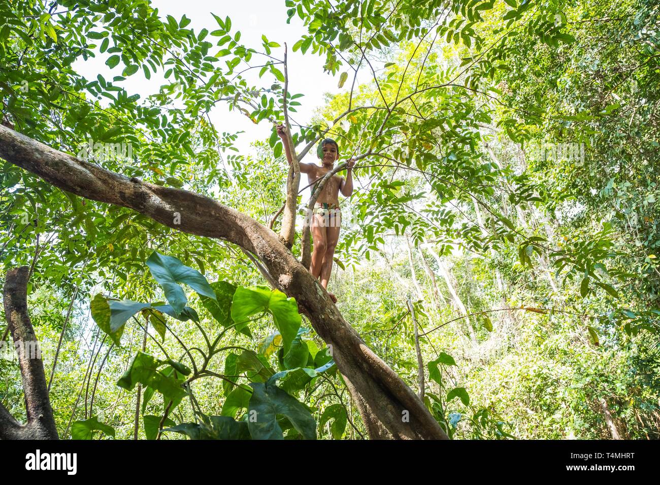 Maroni river hi-res stock photography and images - Alamy