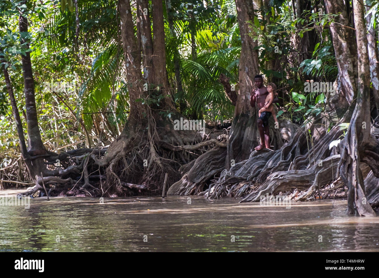 Maroni river near Saint-Laurent, Guyana, Saint-Laurent-du-Maroni ...
