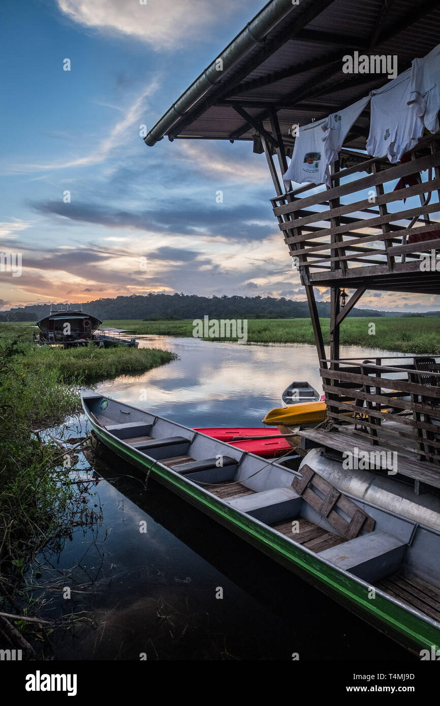 Sunset in Kaw swamp, Guyana, Kaw, France Stock Photo - Alamy