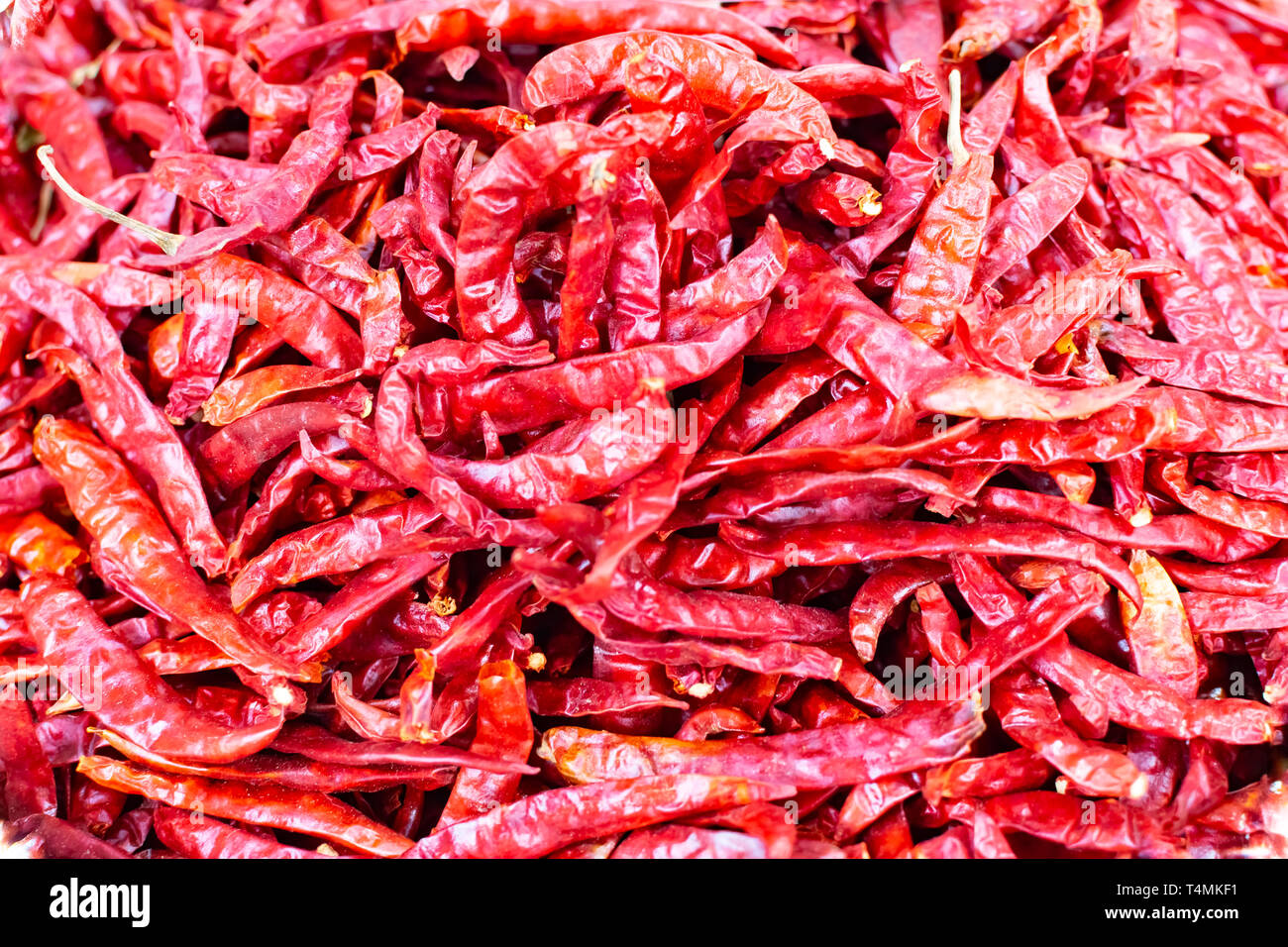Dry chilli peppers on the market. Spicy Asian Indian food Stock Photo ...