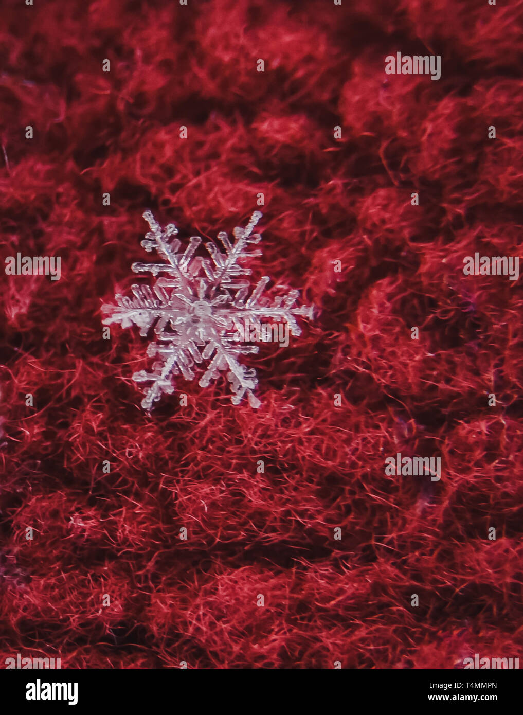 Single Red Snowflake