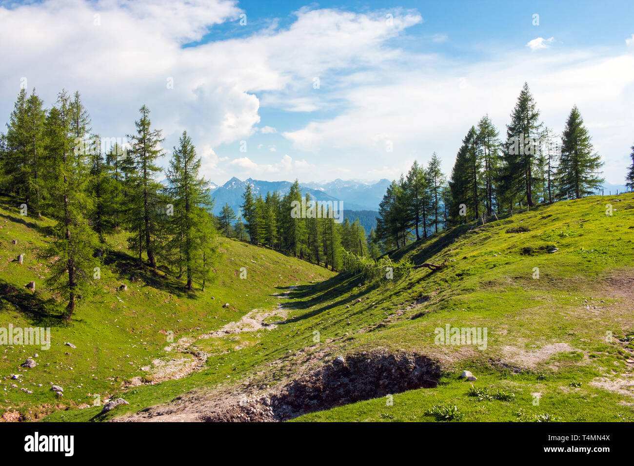 Alpine countryside hi-res stock photography and images - Alamy