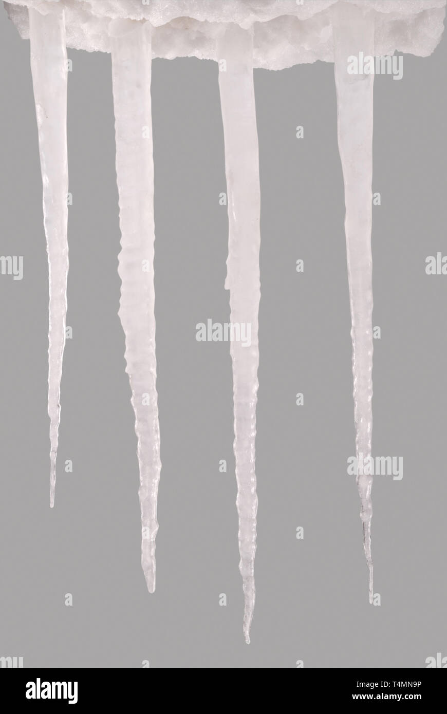 Icicles isolated on a grey background. Frozen water. Clipping path ...