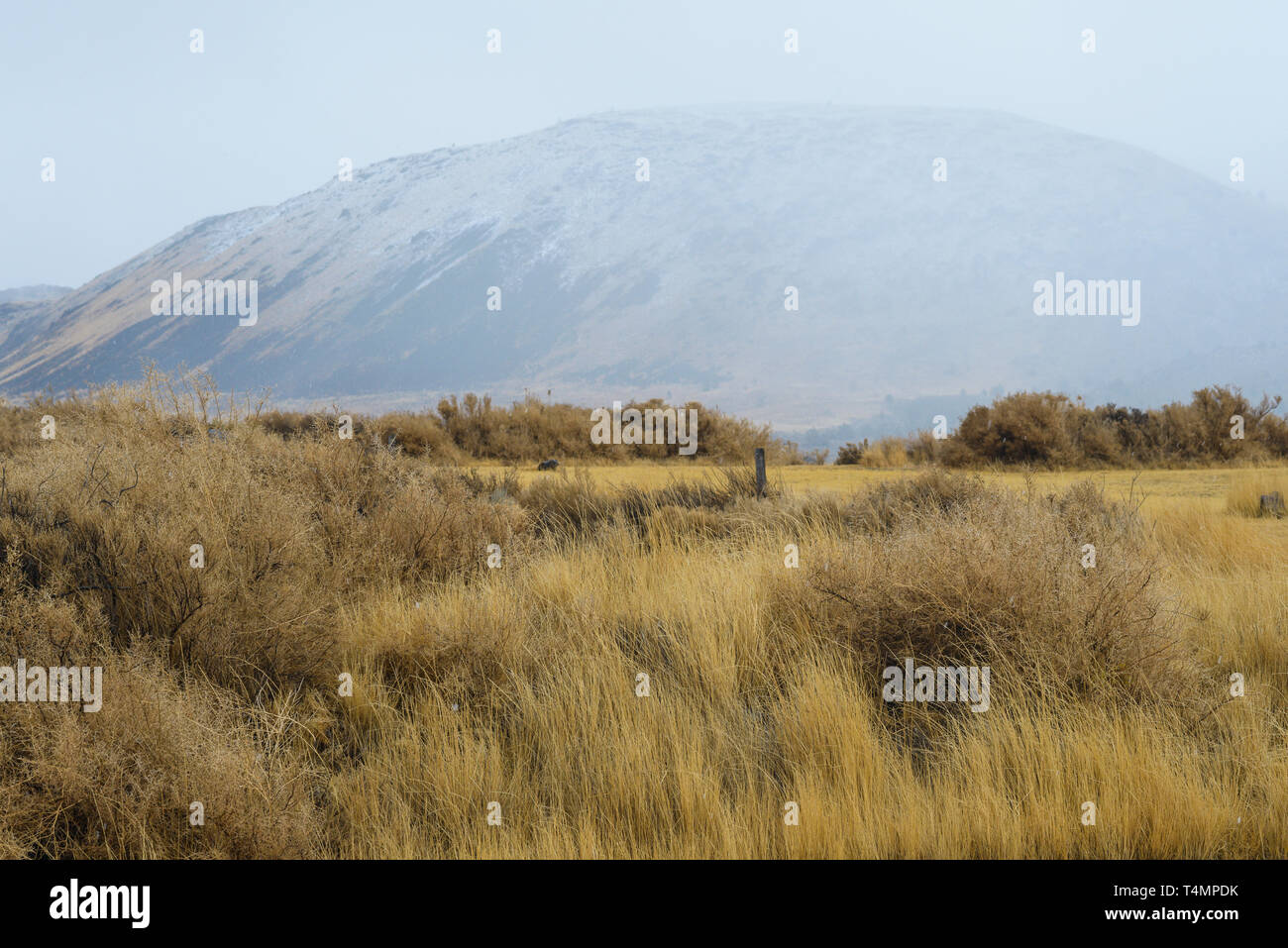 Sagebrush hills hi-res stock photography and images - Alamy