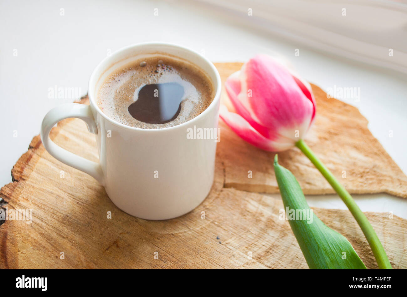 Coffee flower good morning hi-res stock photography and images - Alamy