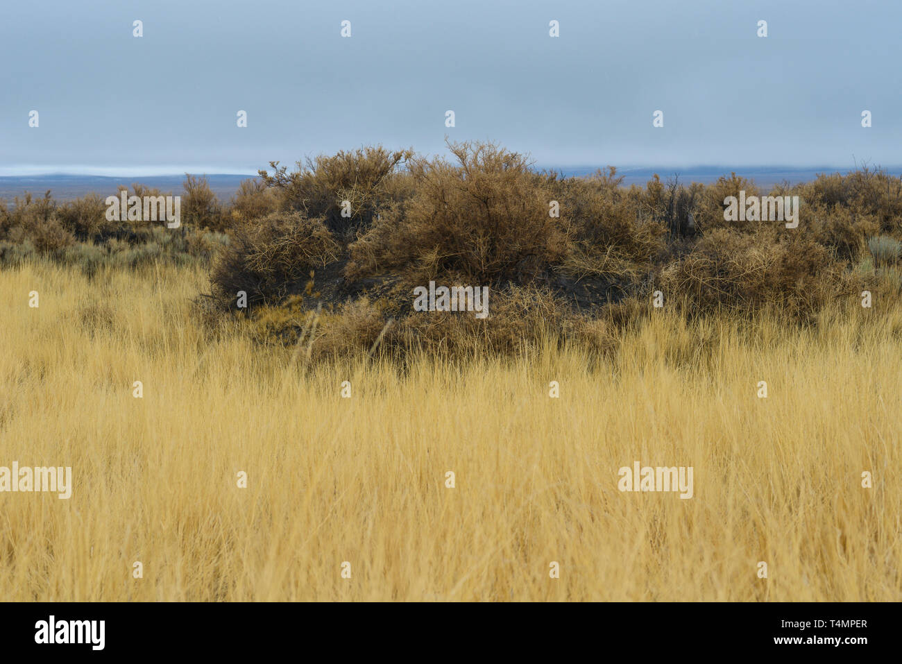 Oregon desert hi-res stock photography and images - Alamy