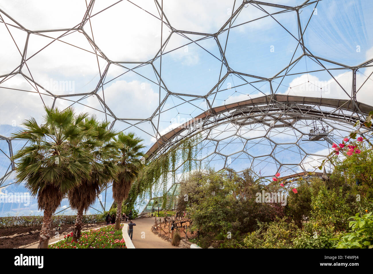 Eden Project Cornwall Interior High Resolution Stock Photography and ...