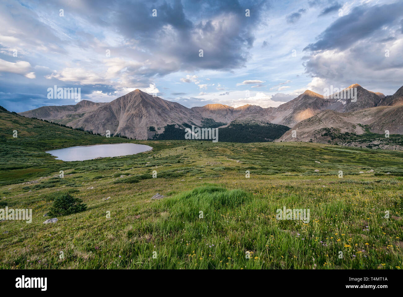 Collegiate Peaks Wilderness Stock Photo - Alamy