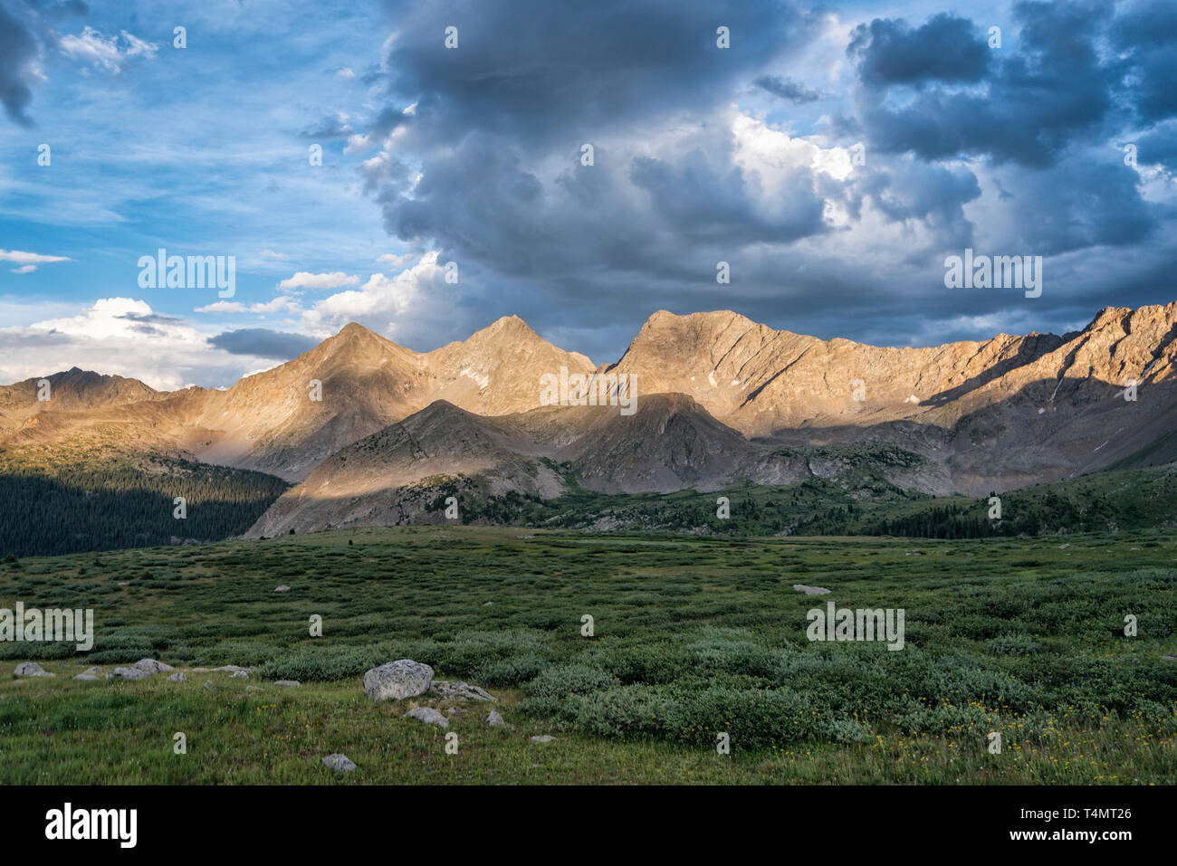 Collegiate Peaks Wilderness Stock Photo - Alamy
