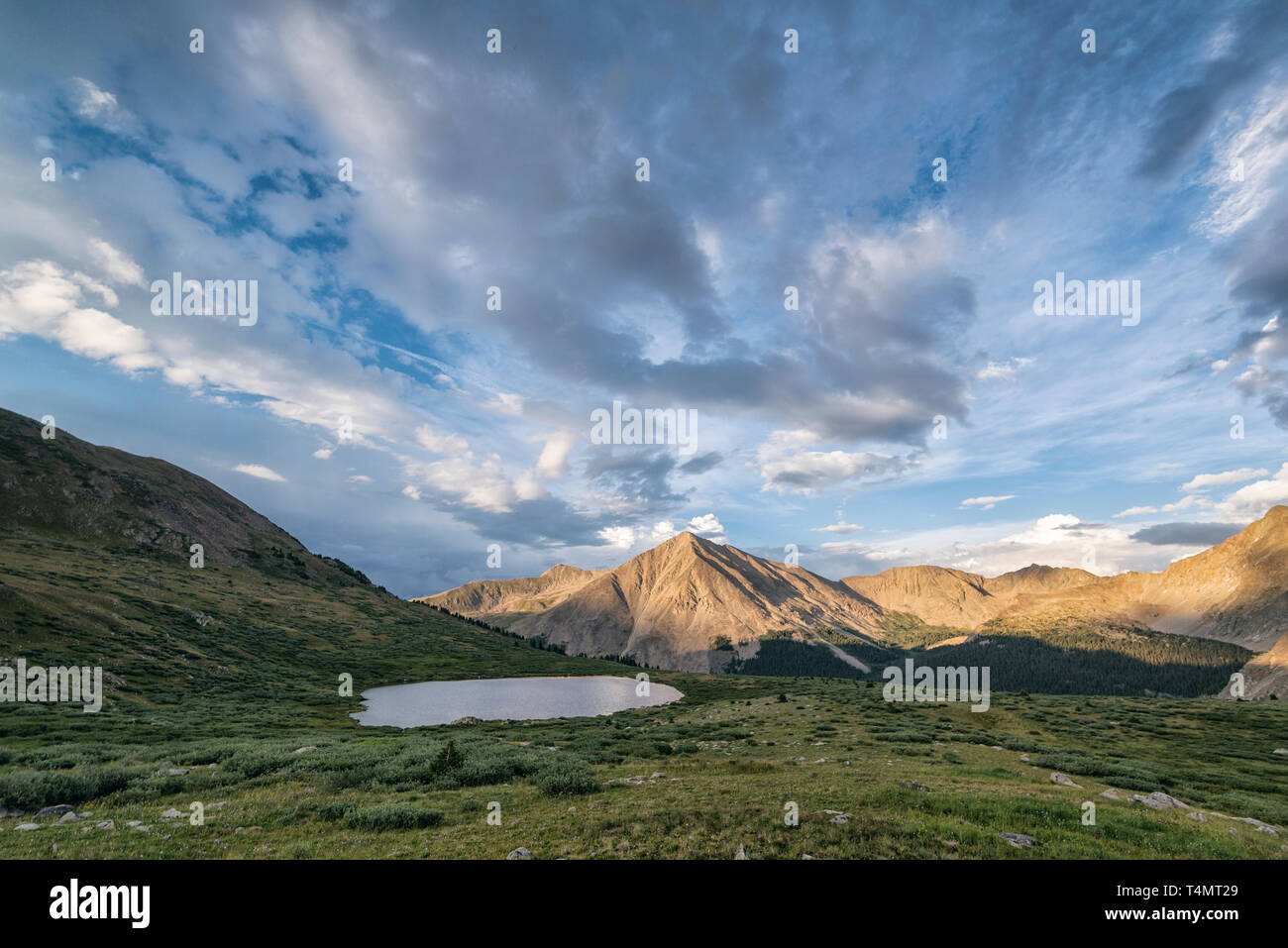 Collegiate Peaks Wilderness Stock Photo - Alamy