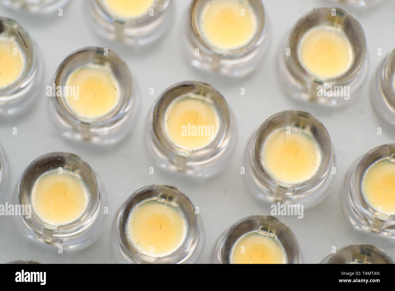 Cool light bulbs hi-res stock photography and images - Alamy