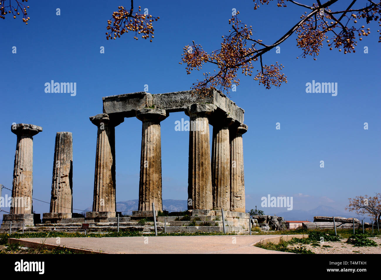 The Temple of Apollo at ancient Corinth, Greece Stock Photo - Alamy
