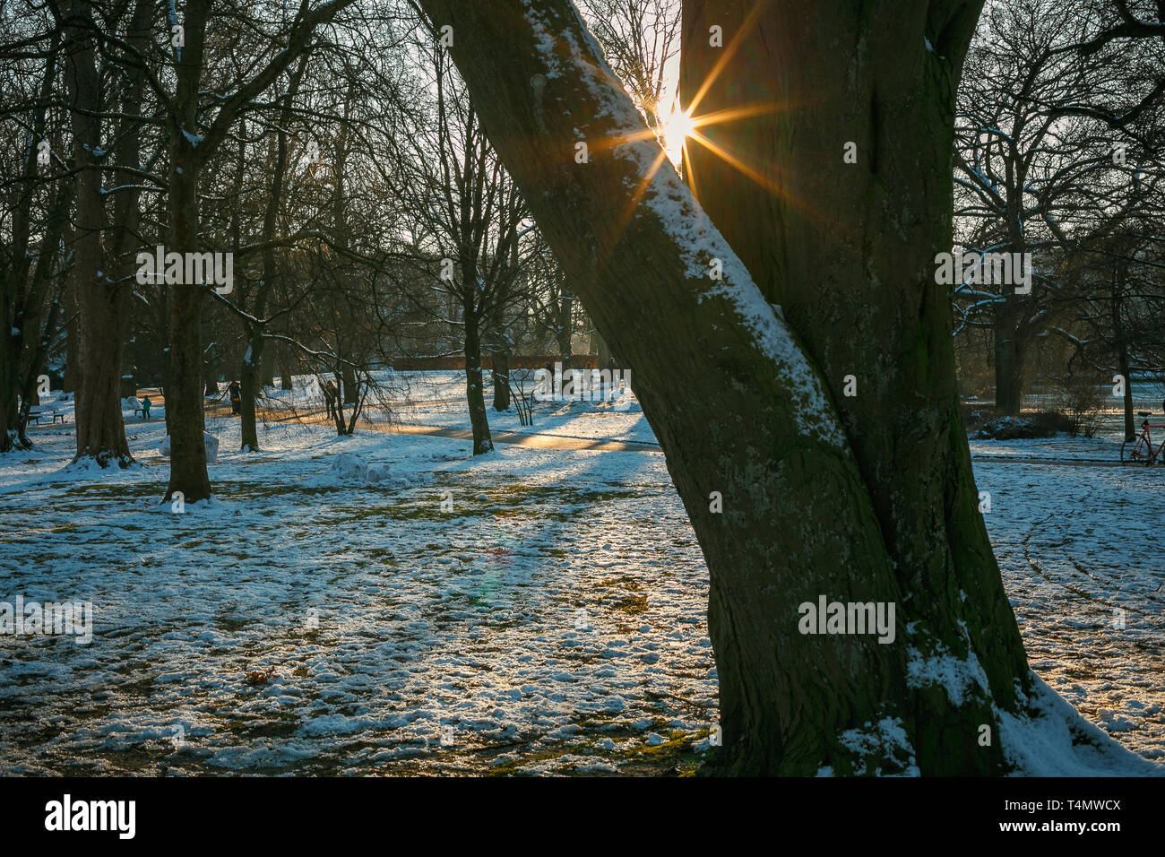 Holstein kiel 2018 hi-res stock photography and images - Alamy