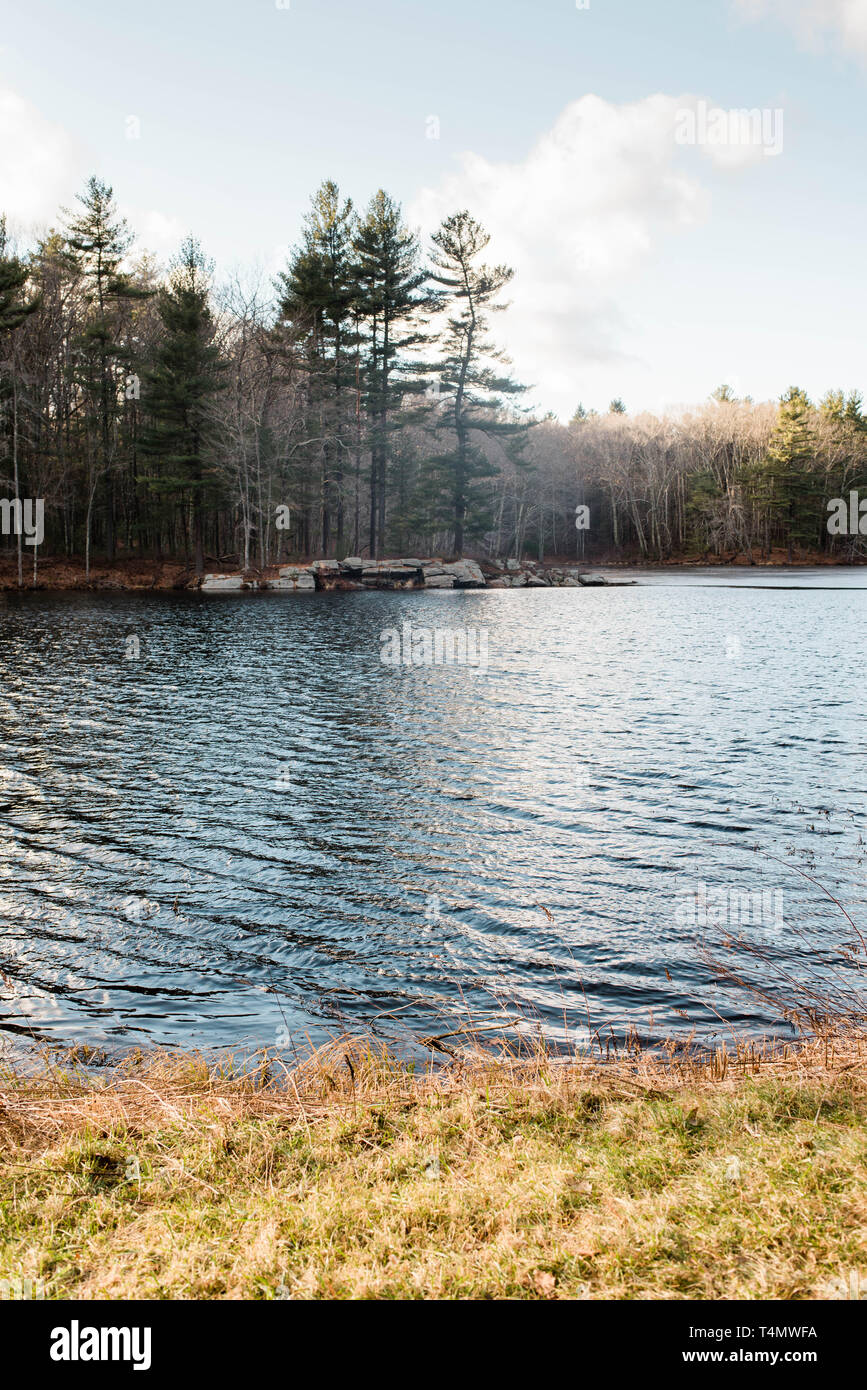 Windy day trees hi-res stock photography and images - Alamy