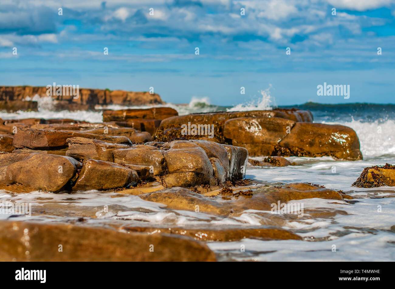 Breeze wave hi-res stock photography and images - Alamy