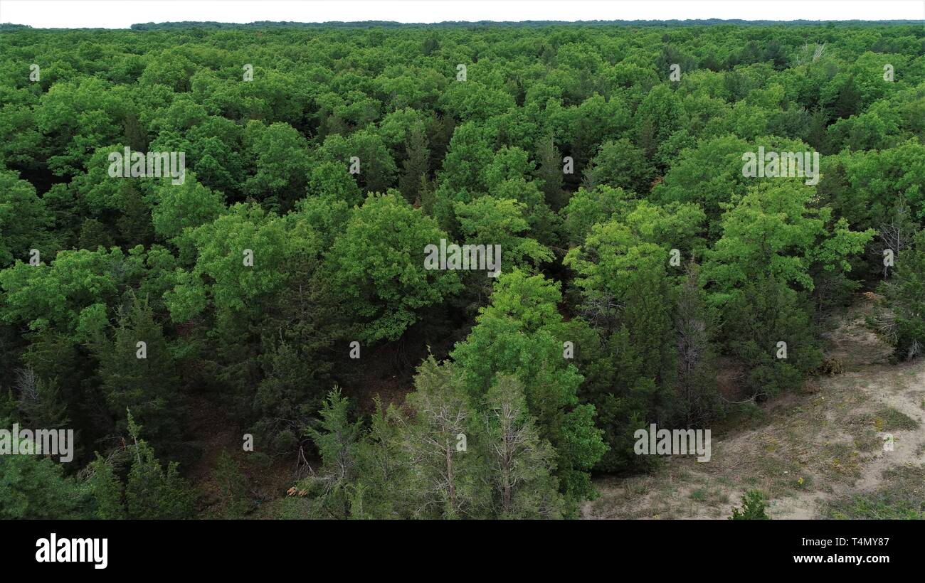 Beautiful Pinery Provincial Park in Canada - Dunes Stock Photo - Alamy