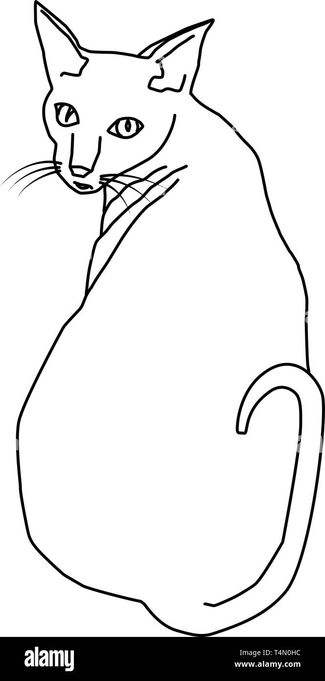 Cat Cornish rex, sketch outline vector Stock Vector Image & Art - Alamy