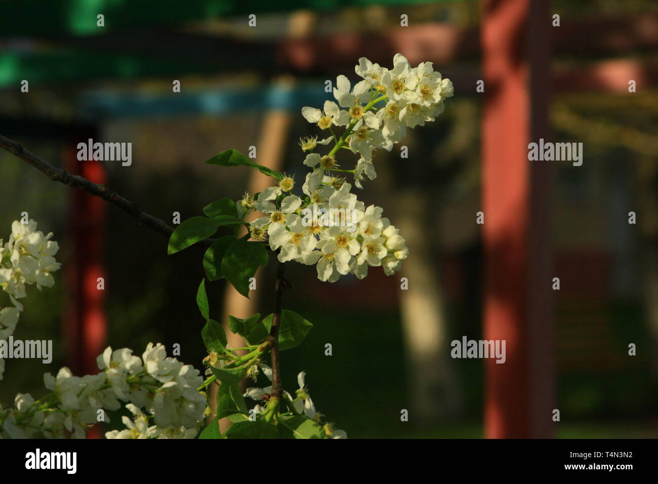 the beauty of nature and its rescue from destruction,keep nature and ...