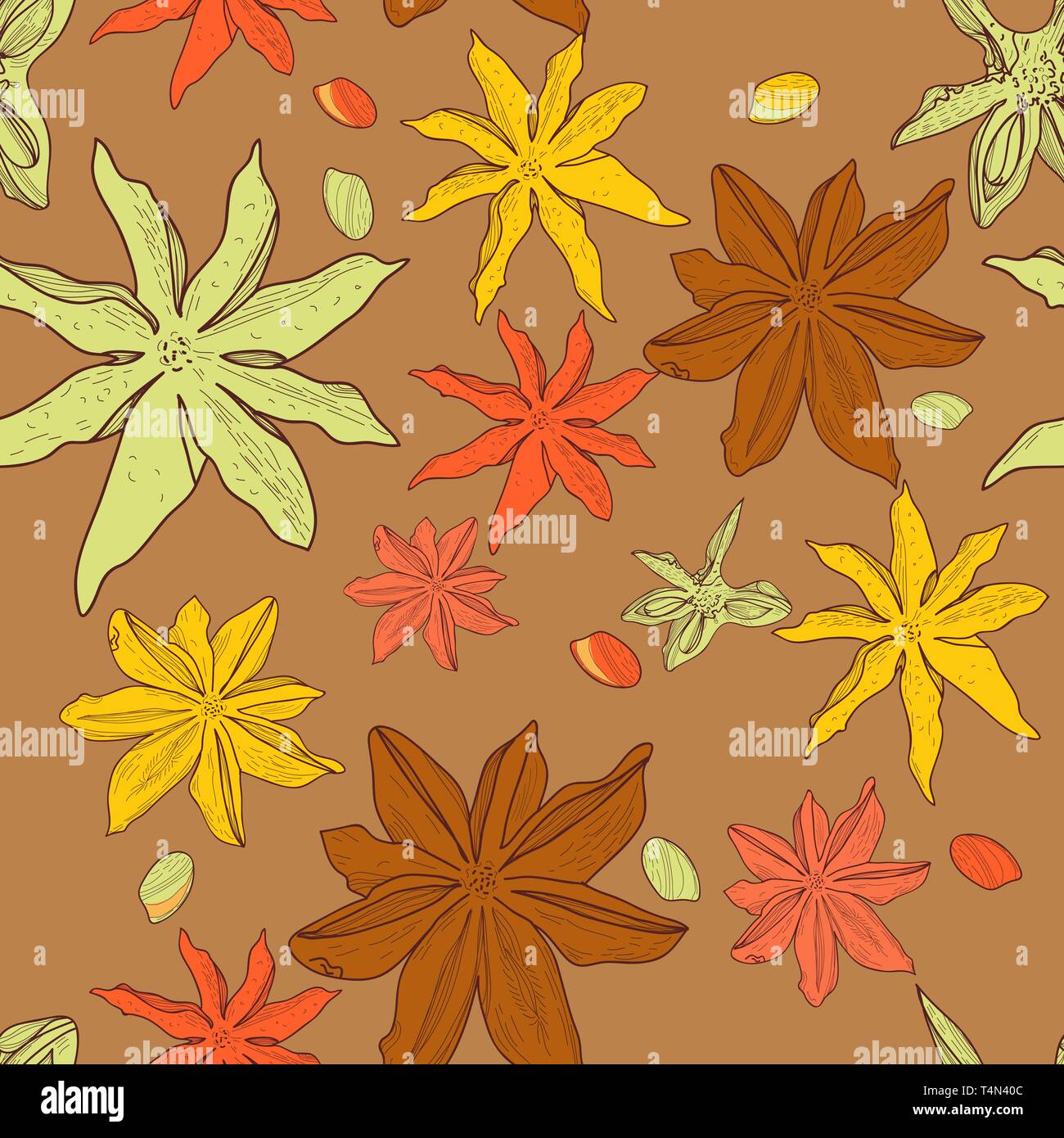 Anise flower vector vectors hi-res stock photography and images - Alamy