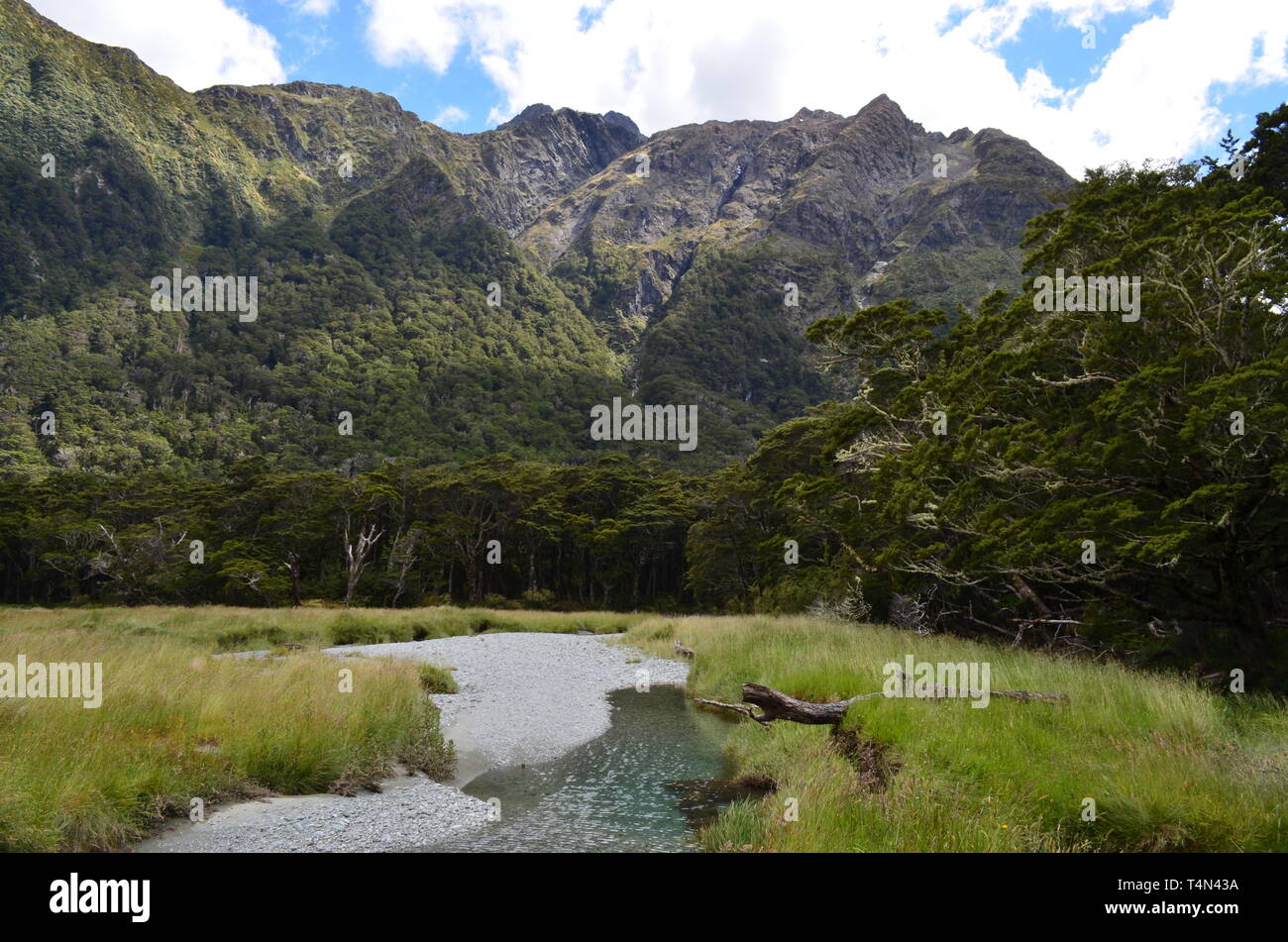 The most beautiful view in New Zealand Stock Photo - Alamy