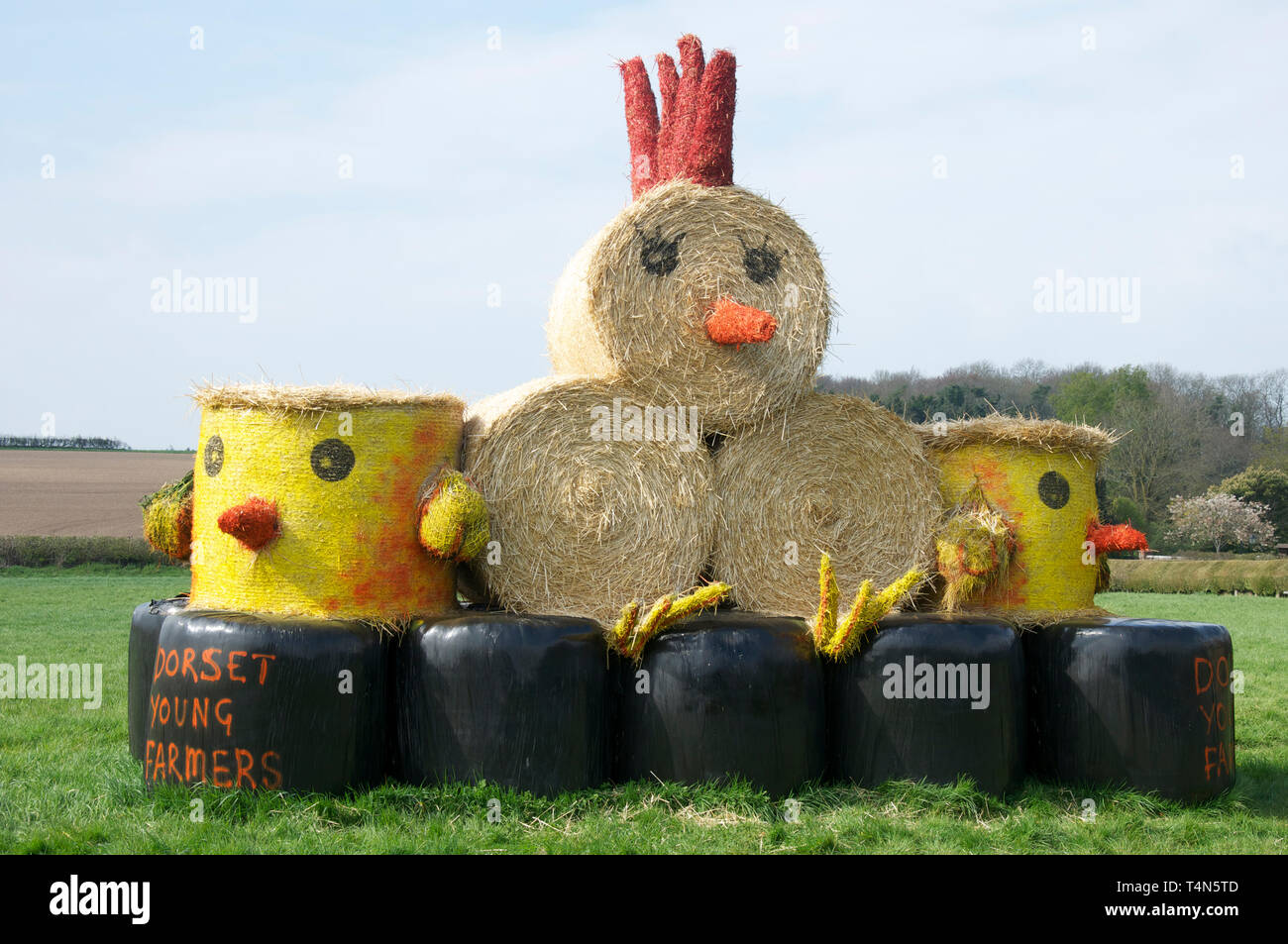 Hen caricature hi-res stock photography and images - Alamy