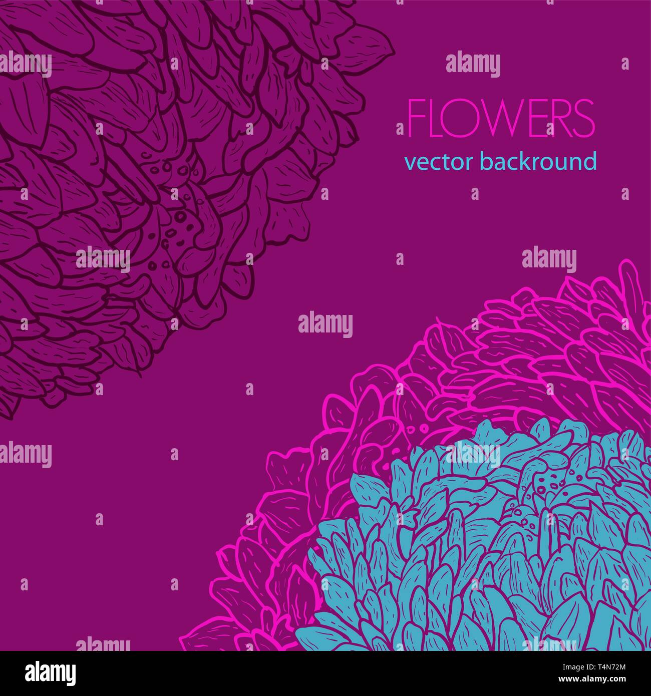 Aster vector vectors hi-res stock photography and images - Alamy