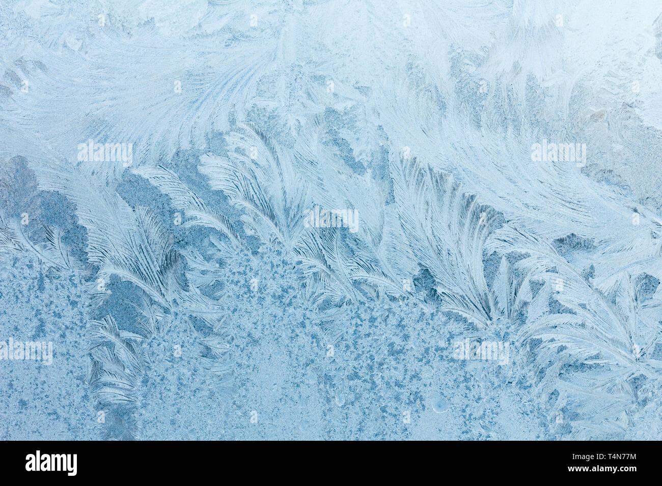 Frosty ice pattern on winter window glass Stock Photo - Alamy