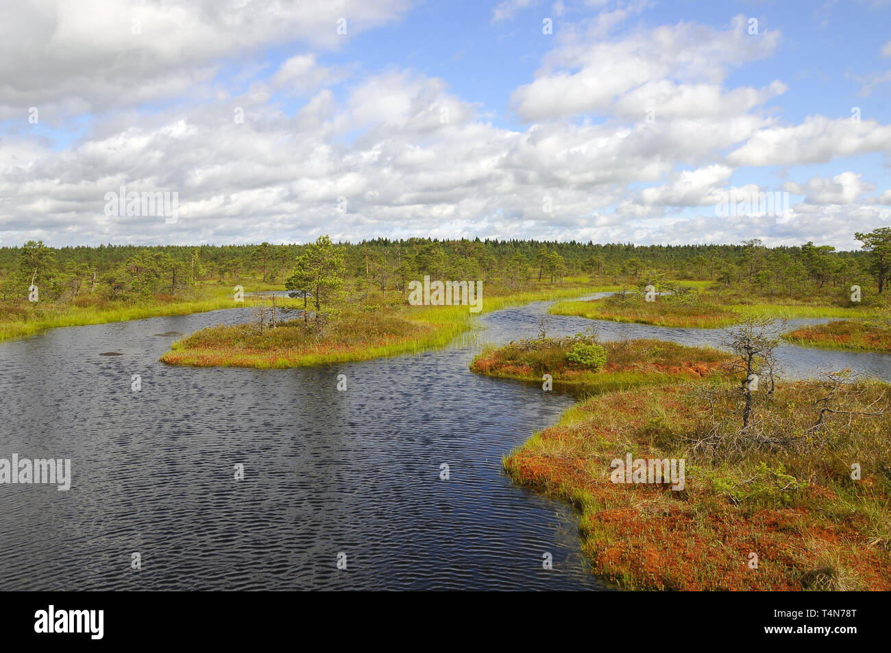 Soomaa National Park, Estonia. Soomaa Nemzeti Park, Észtország Stock ...