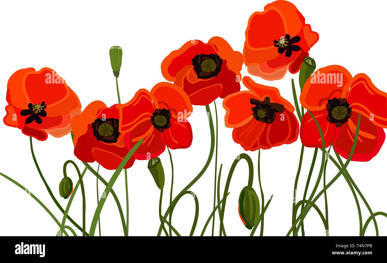 Realistic vector illustration Stock Vector Image & Art - Alamy