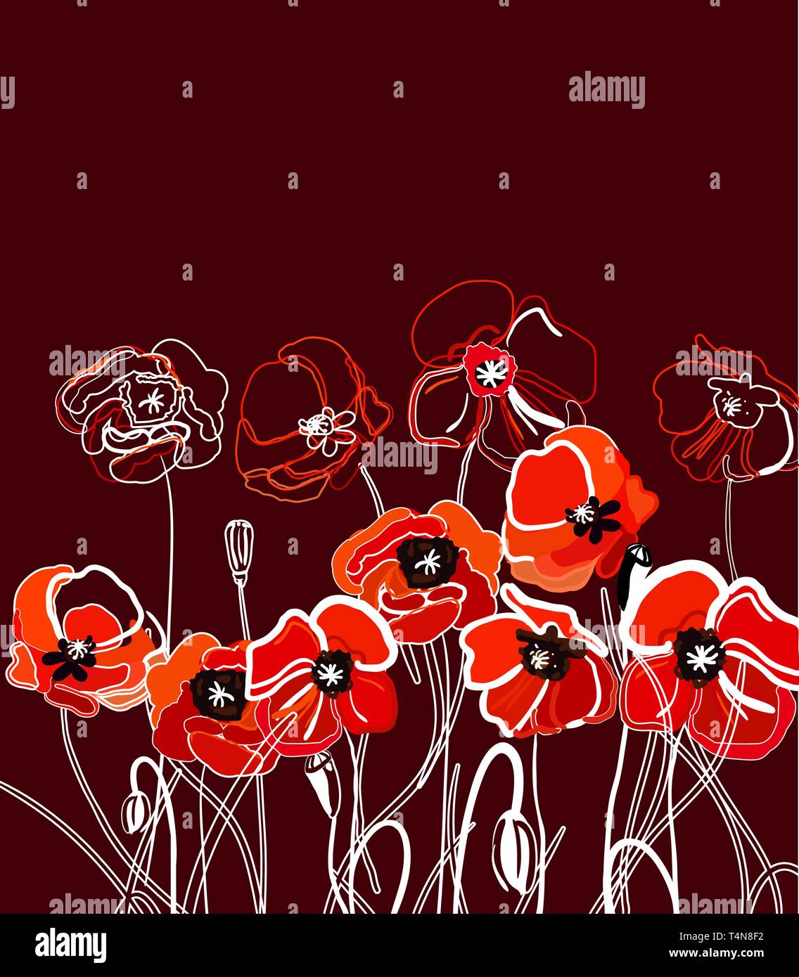Drawing vector illustration with red poppy Stock Vector Image & Art - Alamy