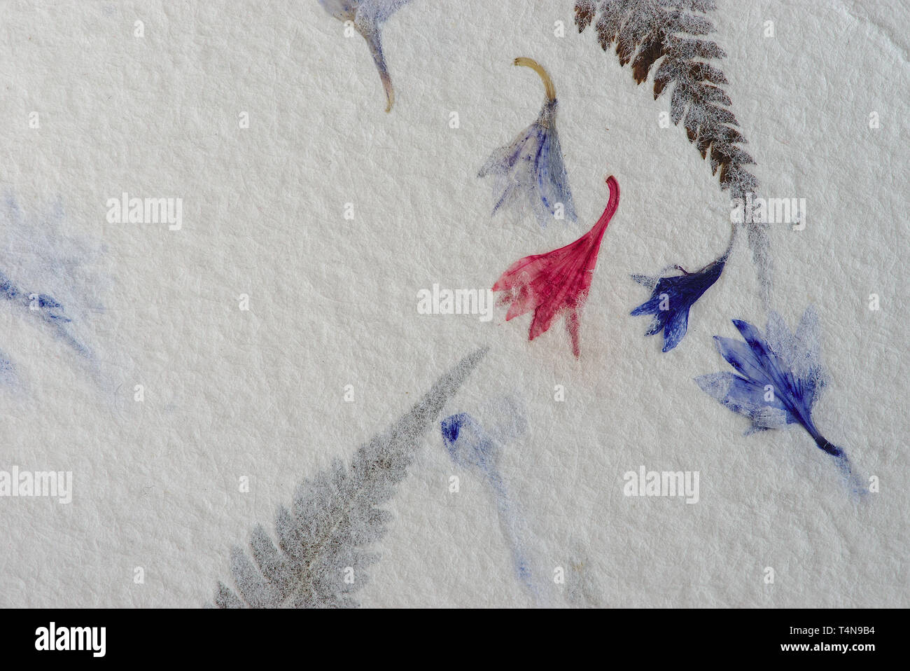 Blue flowers made paper hi-res stock photography and images - Alamy