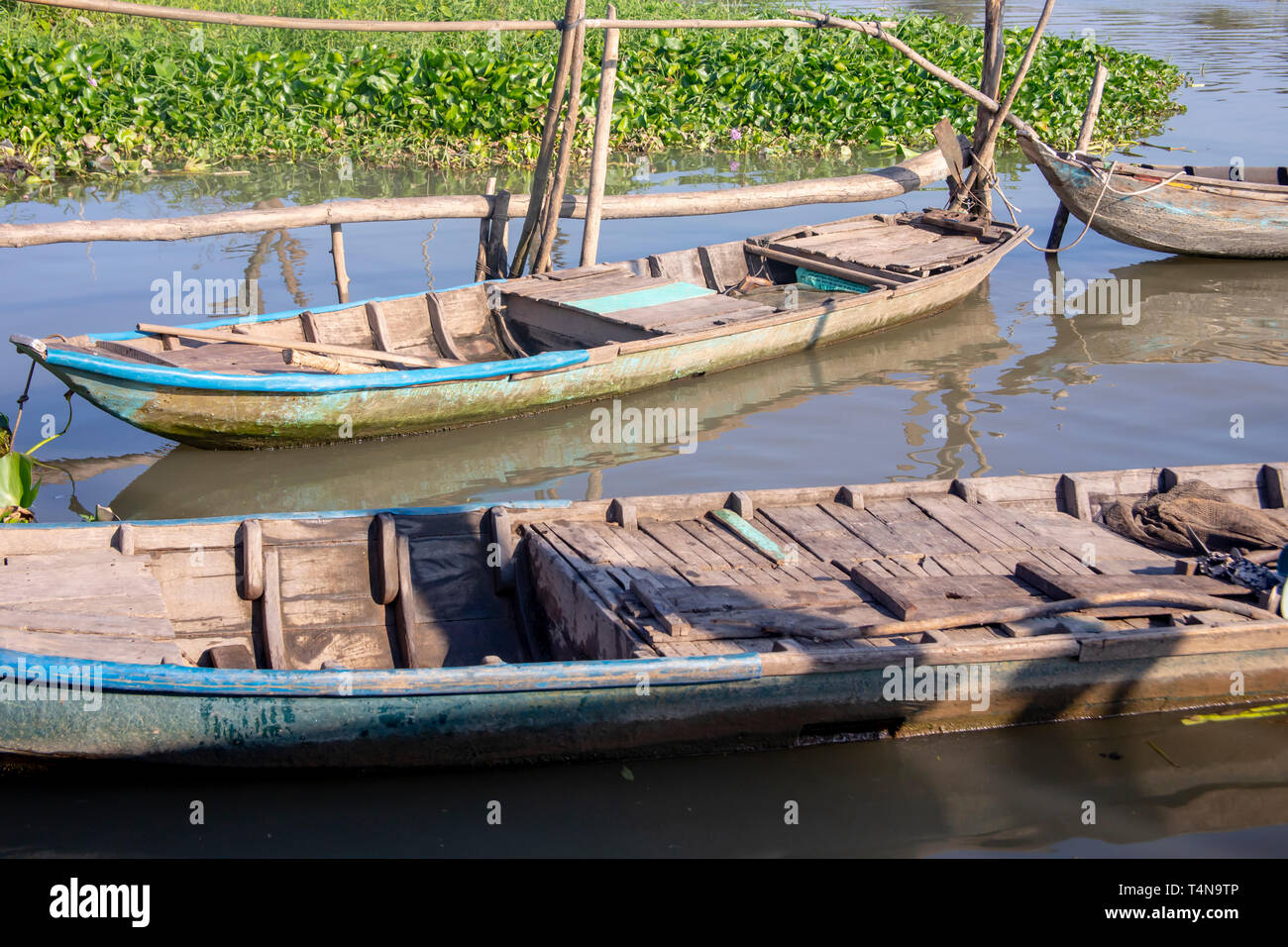 Traditional wooden boats in common water hyacinth in Mekong River Delta ...