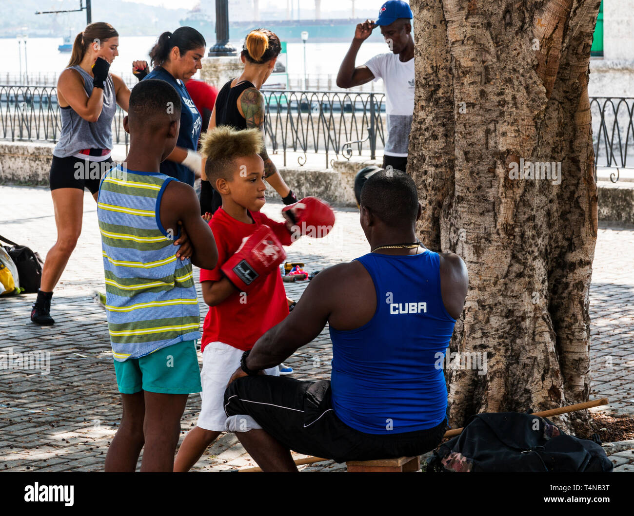 Two people under shade tree hi-res stock photography and images - Alamy