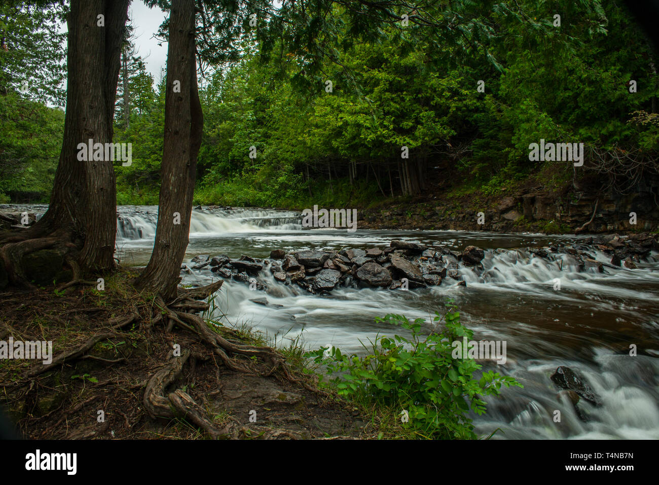 Ocqueoc hi-res stock photography and images - Alamy