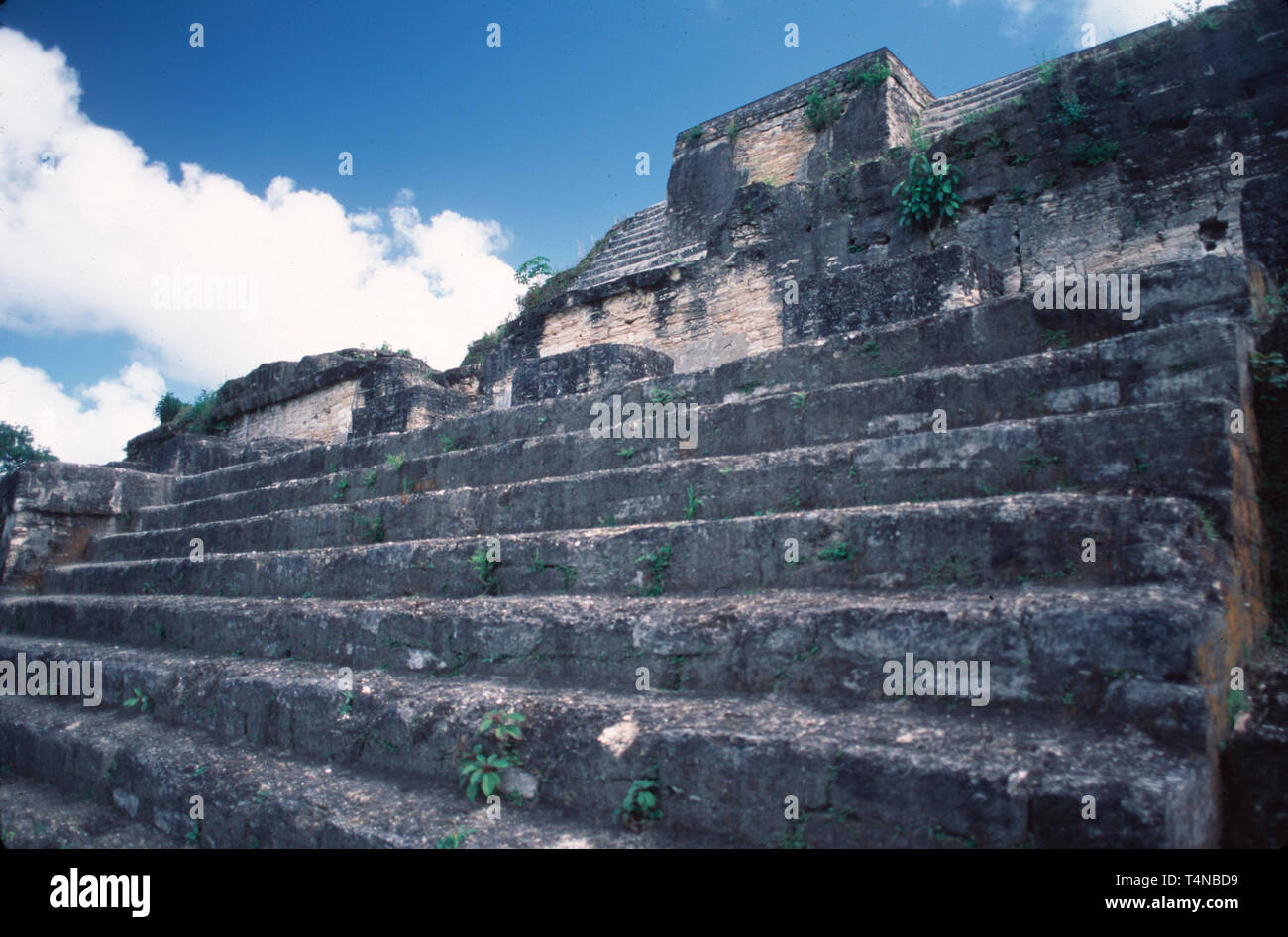 Mayan temple isolated hi-res stock photography and images - Alamy