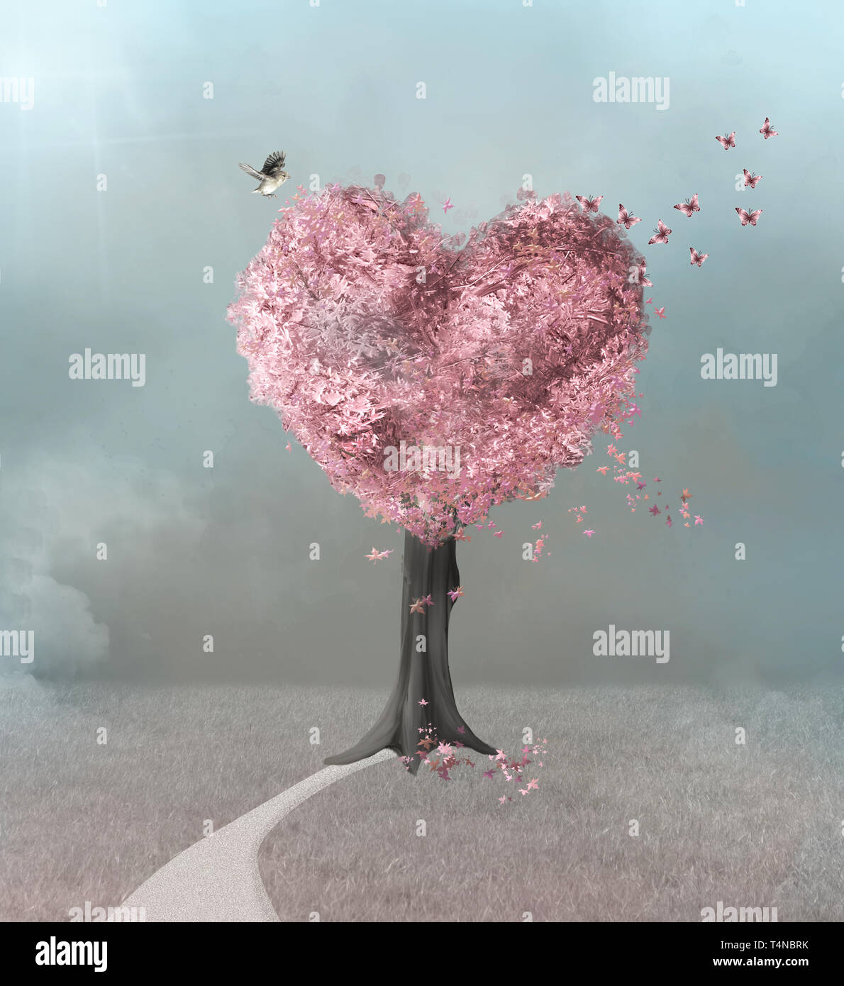 Pathway to the pink heart tree Stock Photo - Alamy