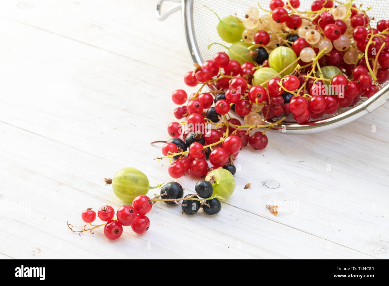 various currants and gooseberries fall out of a sieve on a white ...